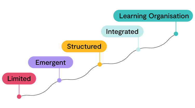 Learning Maturity Model Learning